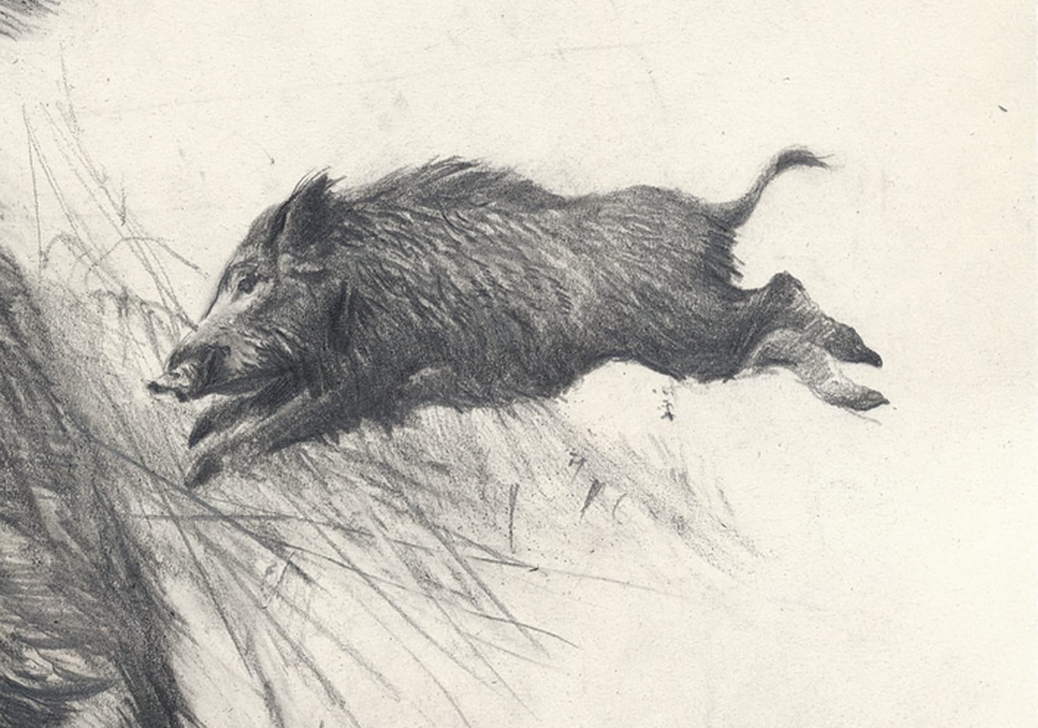 Wild Boars Hunt Graphic Drawing Signed Authors - Etsy UK