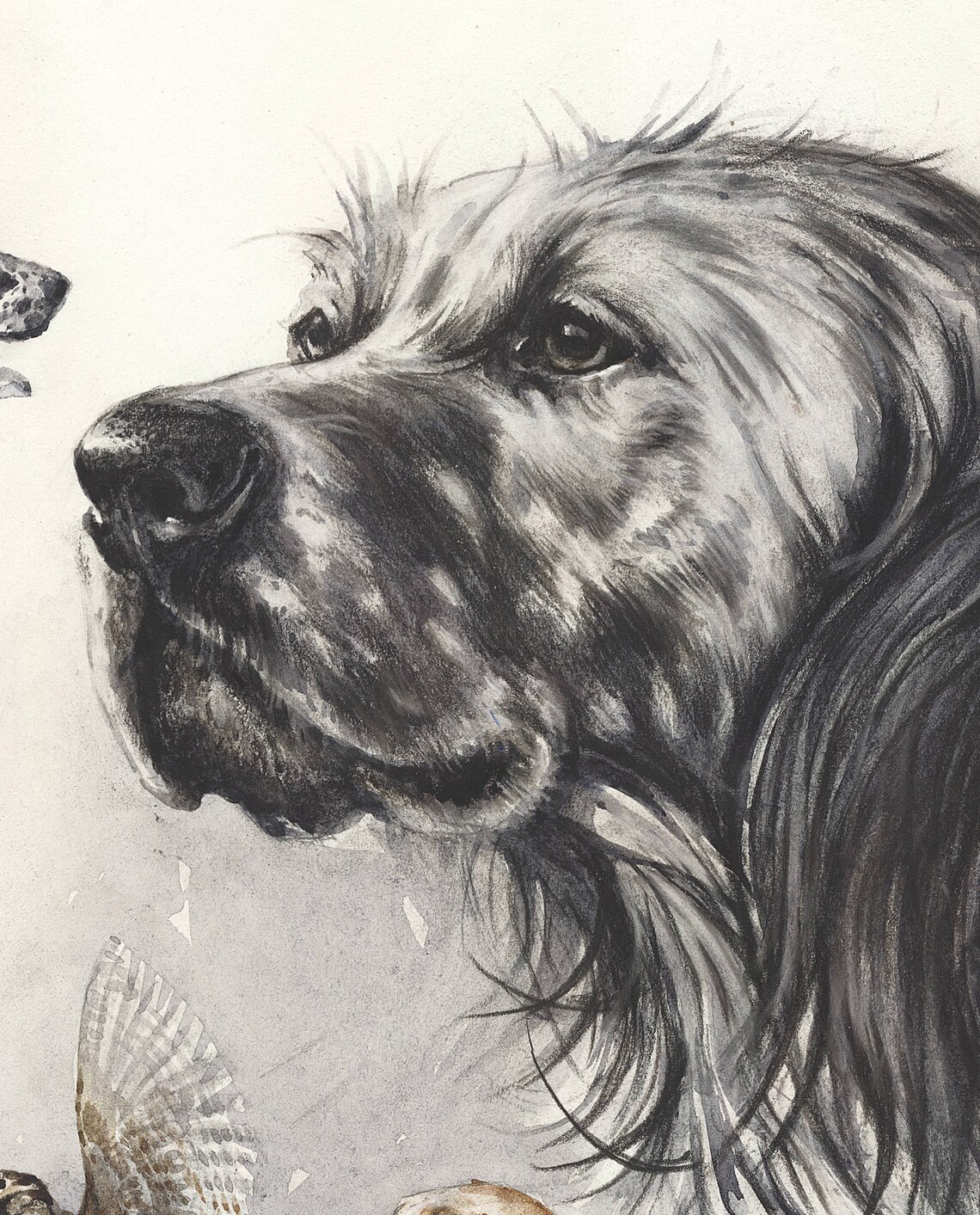 English Setter Print by Valery Siurha English Setter English - Etsy