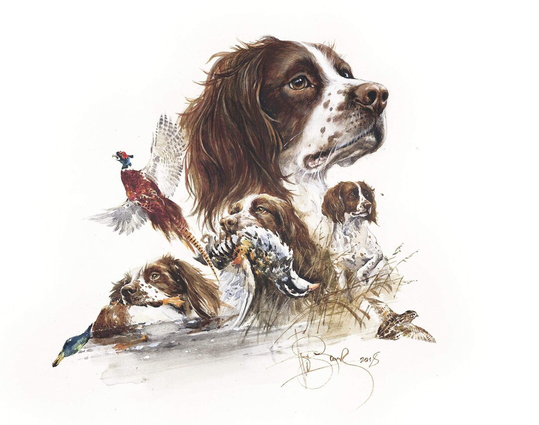 Hunting With English Springer Spaniel Signed Print - Etsy