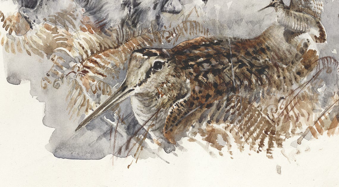 English Setter Print by Valery Siurha English Setter English - Etsy