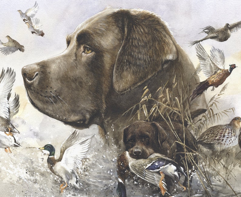 Chocolate Labrador Watercolor Print: Bird Hunt Dog Art (50x70cm) - Etsy