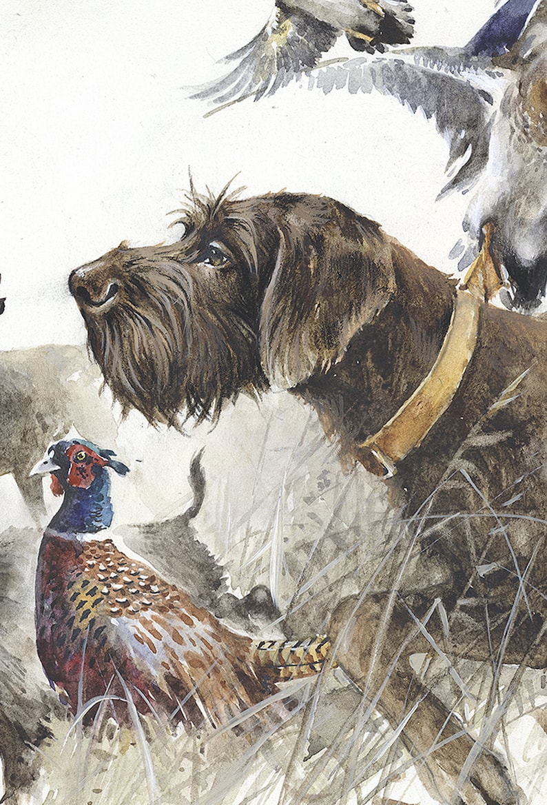 Pudelpointer Signed Print by Valery Siurha Pudelpointer - Etsy