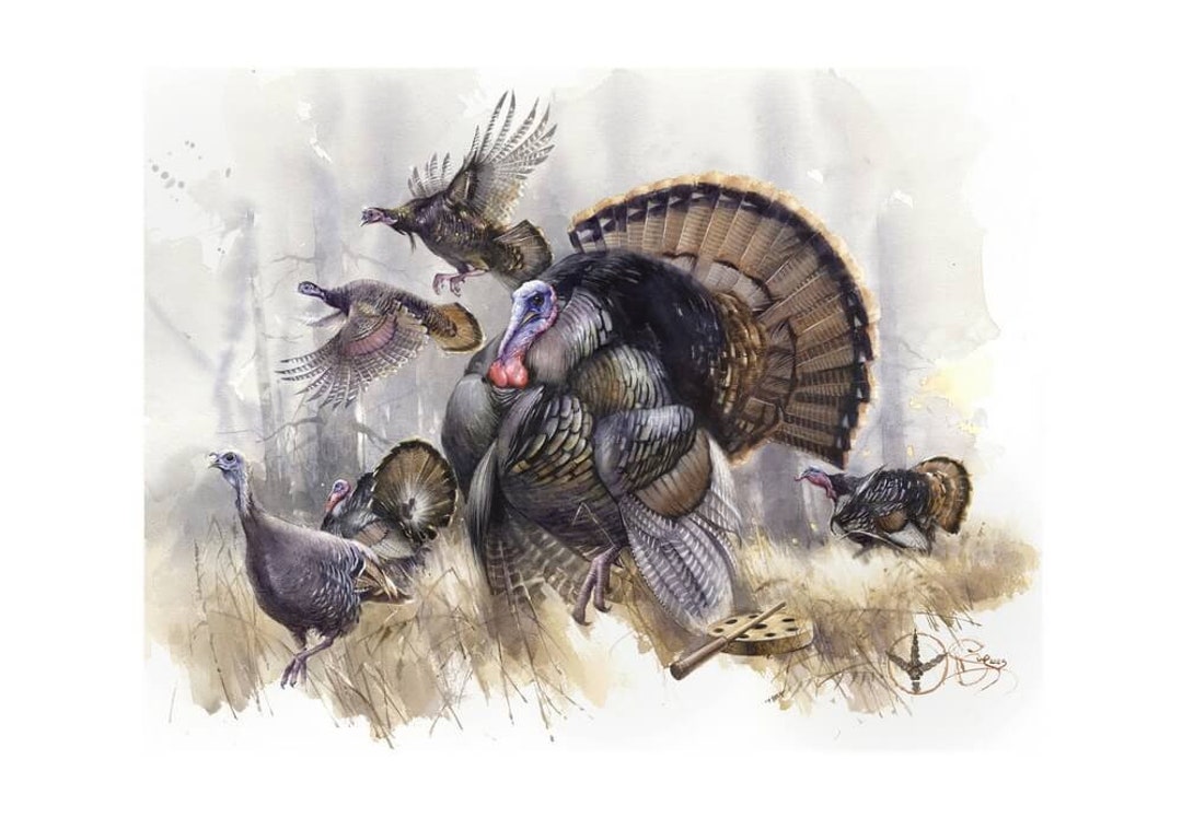 Wild Turkey" Author's Signed Print Giclee by Valery Siurha - Etsy