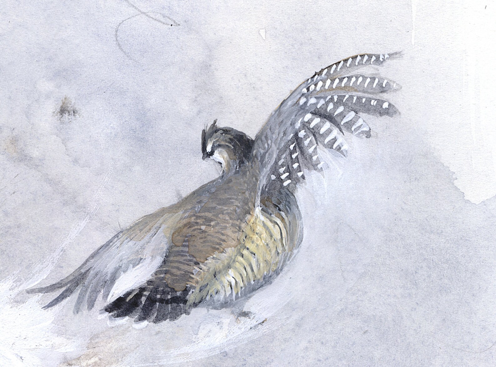 German Shorthaired Pointer Print: Quail Hunting Watercolor Art - Etsy