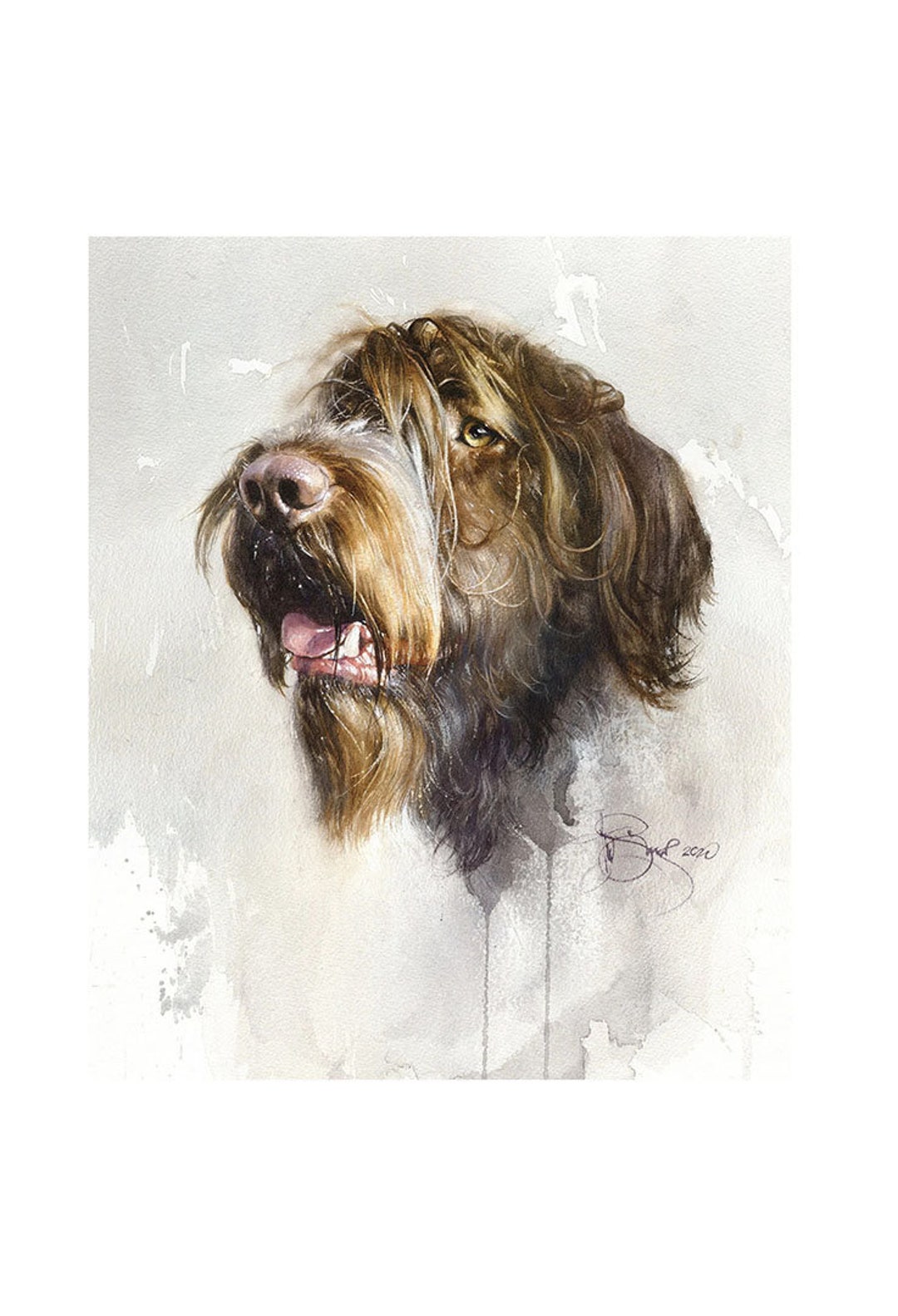 Portrait of a Friend Author's Signed Print, Wirehaired Pointing Griffon ...