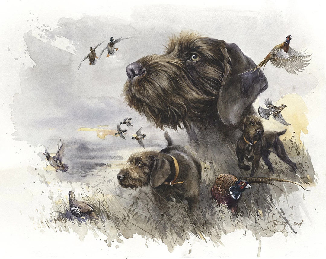 Pudelpointer Dog Print: Bird Hunting Watercolor Art by Valery Siurha - Etsy