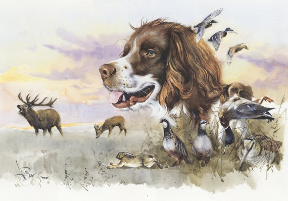 English Springer Spaniel. Hunting Author's Signed - Etsy