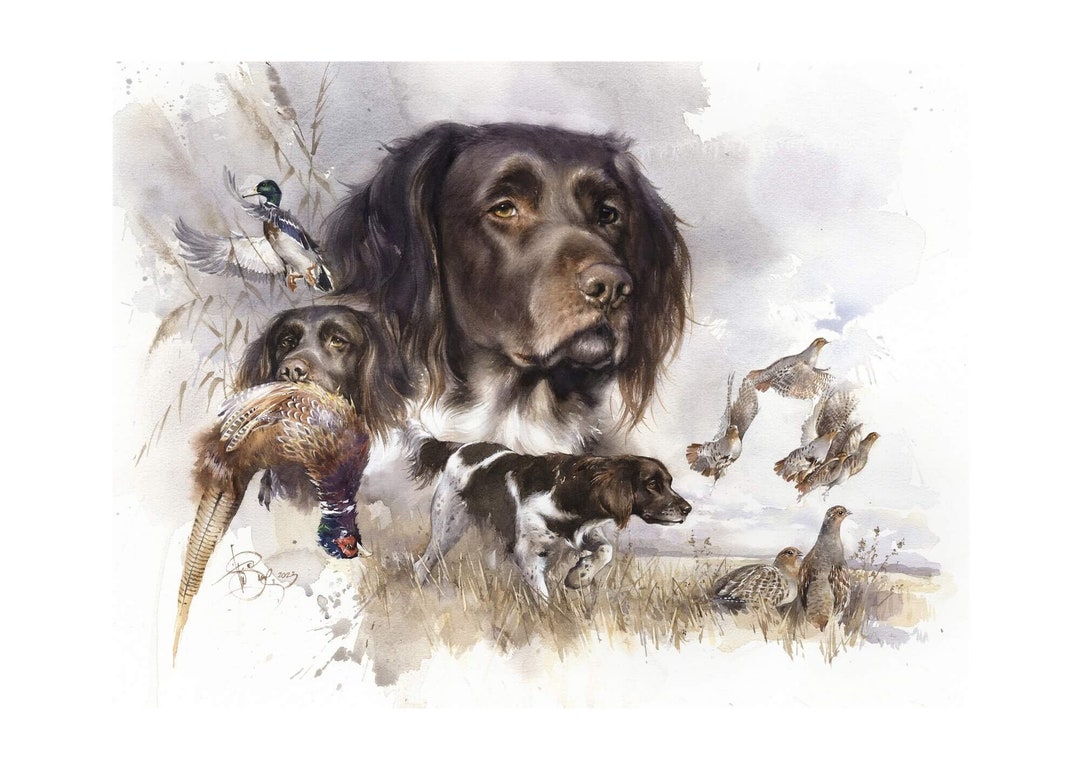 Munsterlander Bird Dog Watercolor Print: Signed Hunting Art - Etsy