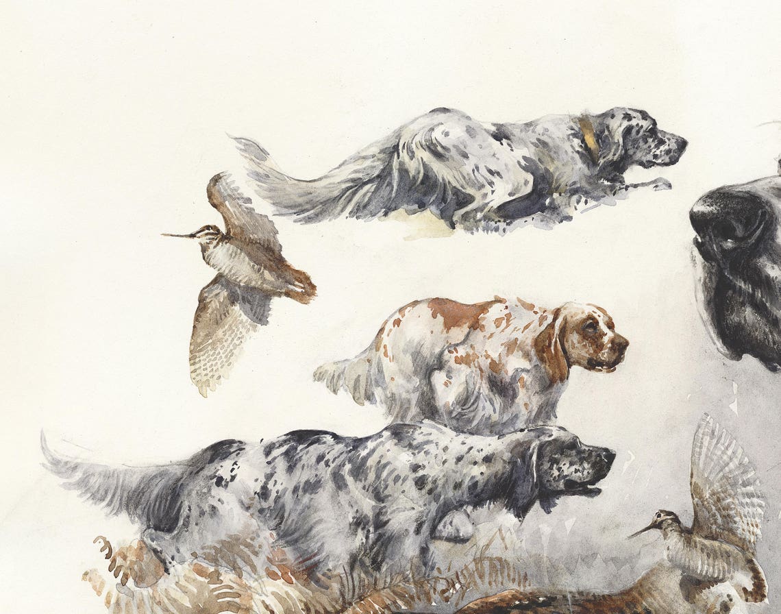 English Setter Print by Valery Siurha English Setter English | Etsy