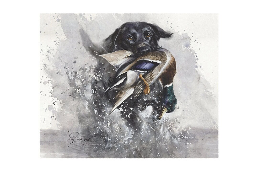 Black Lab Duck Hunt Print: Signed Watercolor Dog Art - Etsy