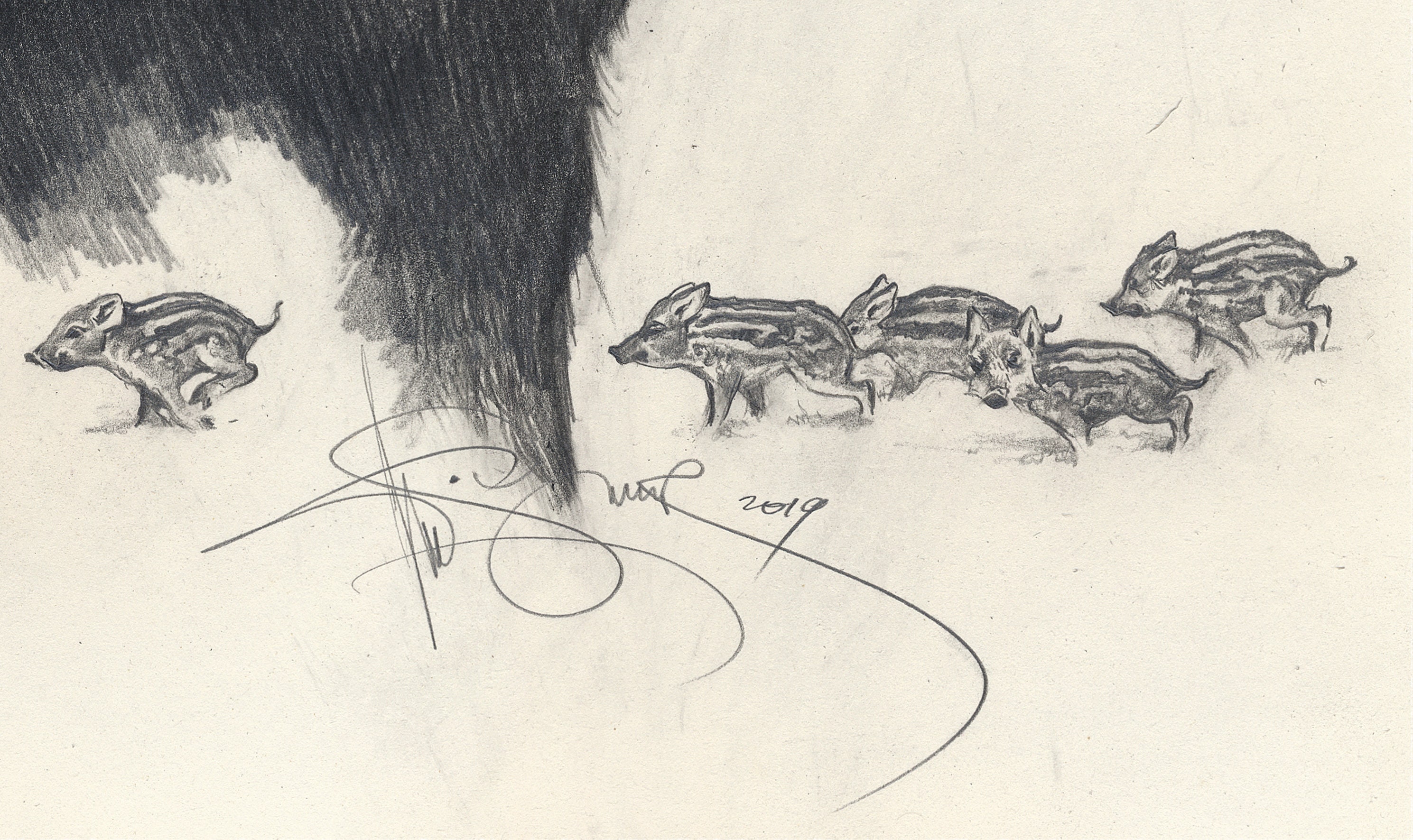 Wild Boars Hunt Graphic Drawing Signed Authors - Etsy UK