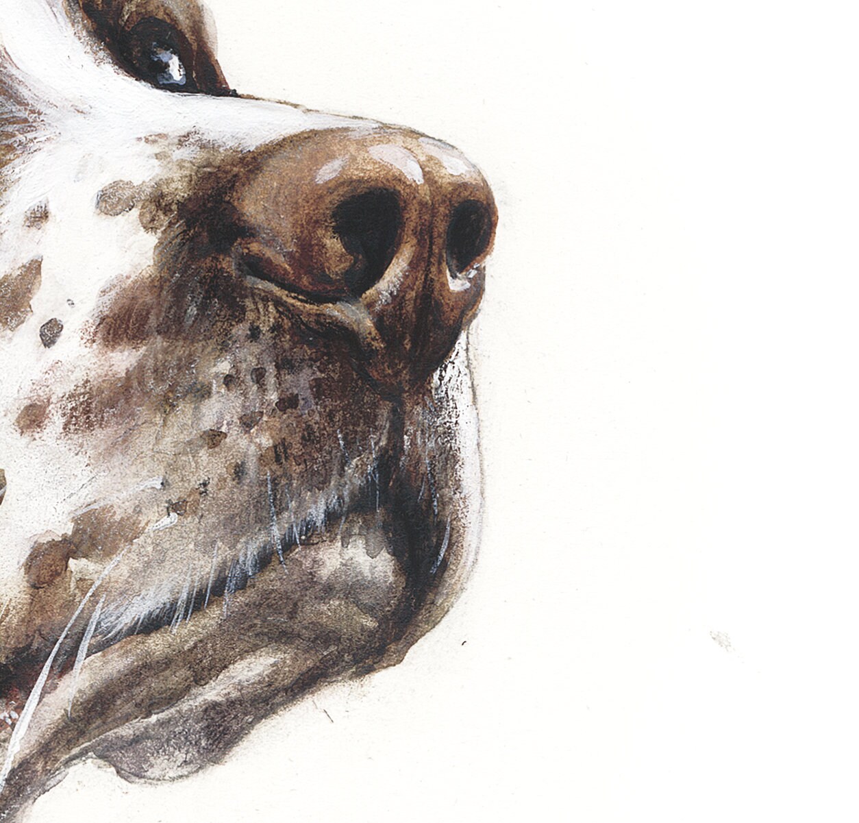 Hunting With English Springer Spaniel Signed Print | Etsy