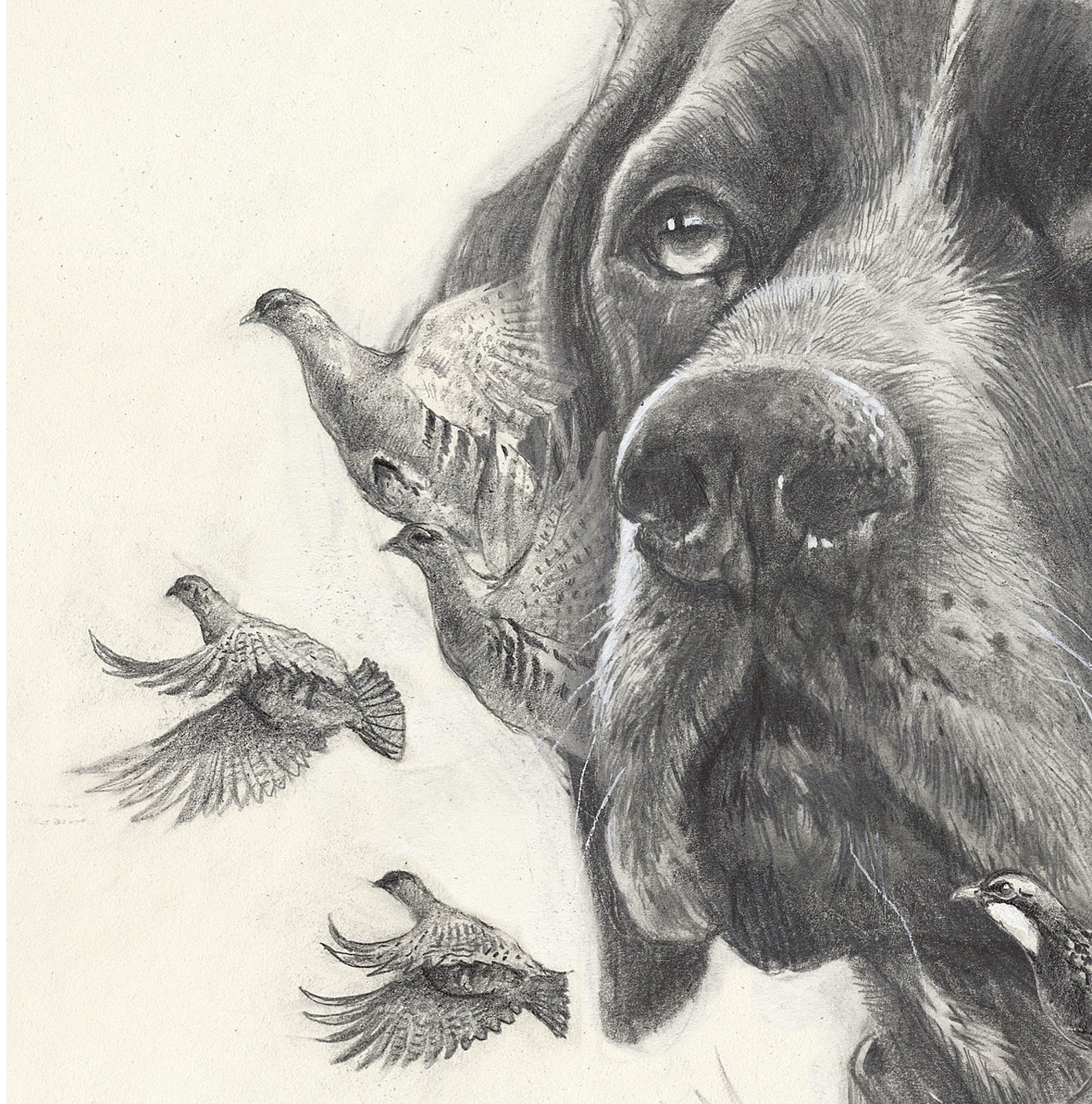 German Shorthair Pointer Portrait Print Pointer Art German - Etsy