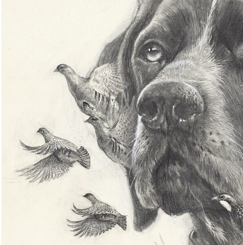 German Shorthair Pointer Portrait Print Pointer Art German - Etsy