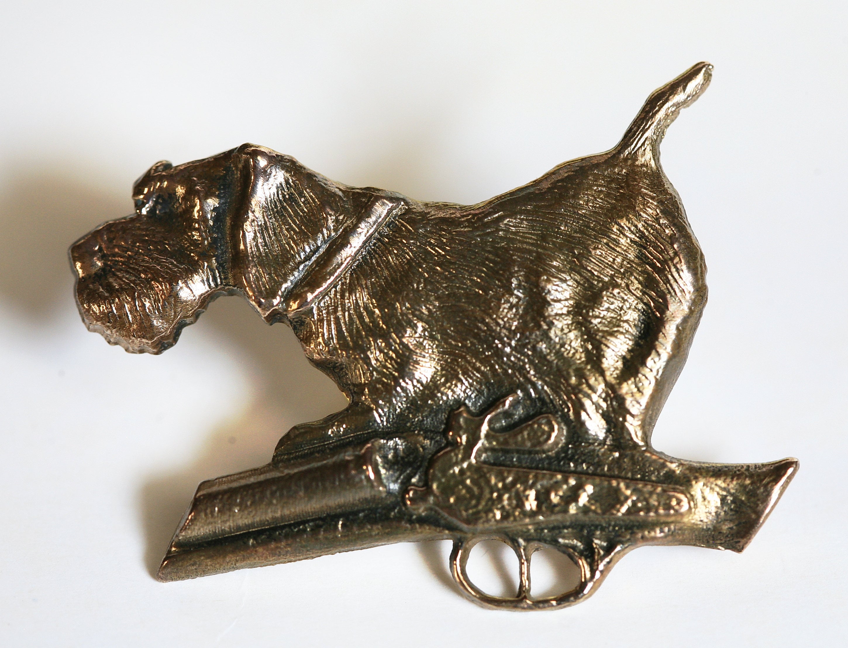 Deutsch Drahthaar Brown