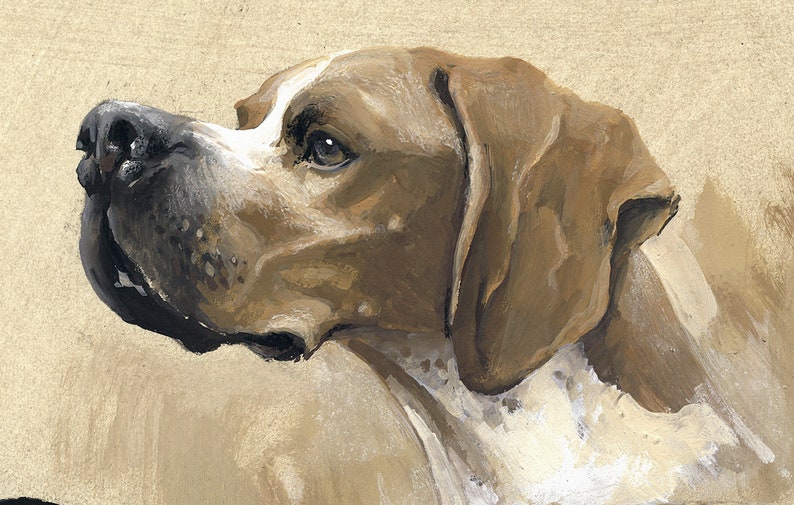 Pointer Breed Variety Print by Valery Siurha English Pointer | Etsy