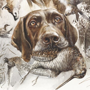 German Shorthaired Pointer Print, Pointer Art, German Pointer, Hunting ...