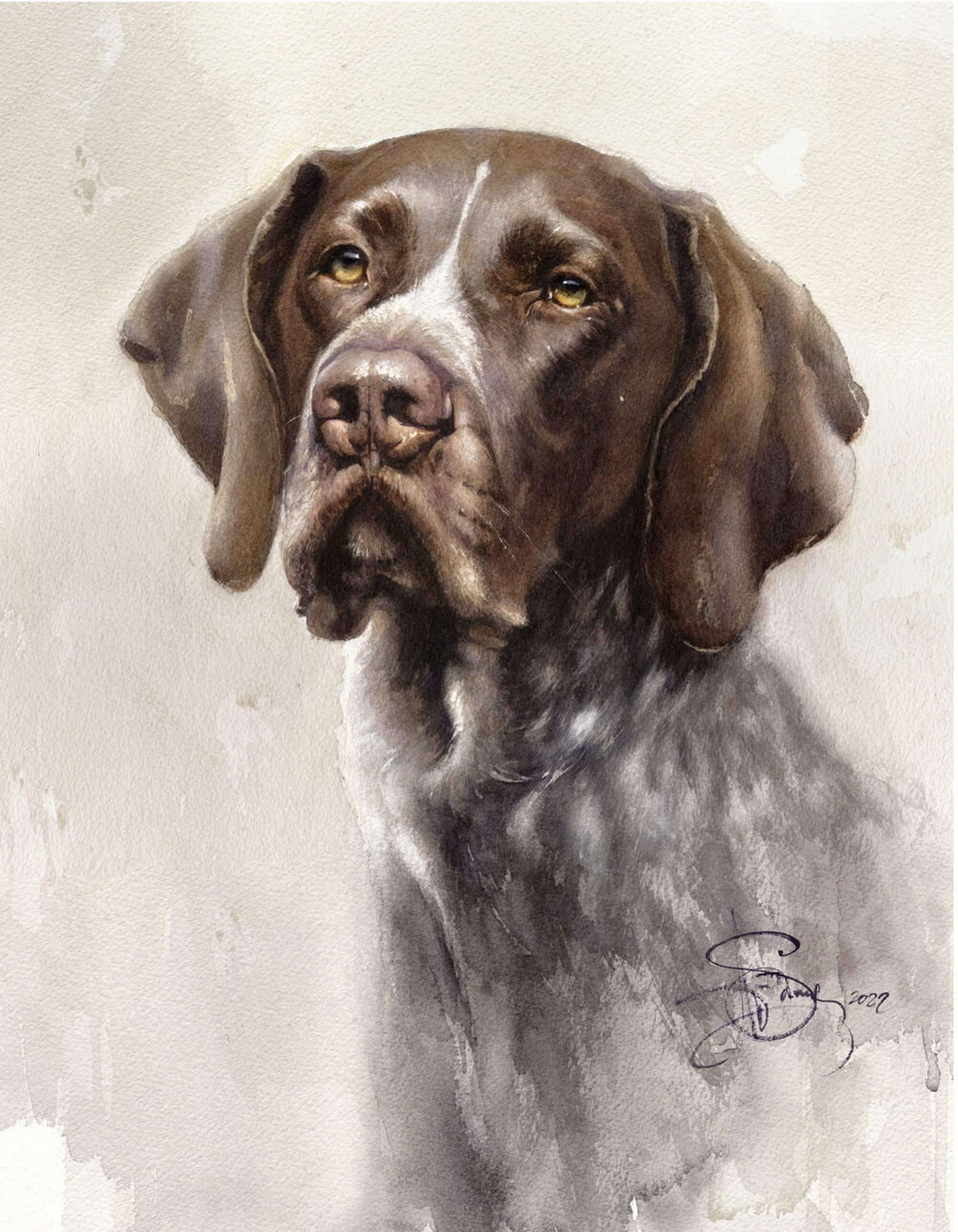 Is The Pointer Legal In Switzerland