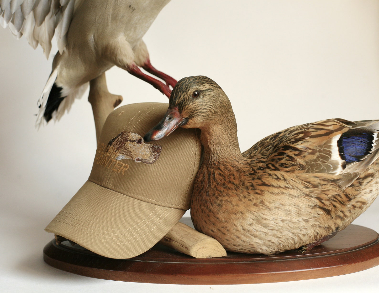 Hunting Hat English Pointer English Pointer Gift Camo Hat - Etsy