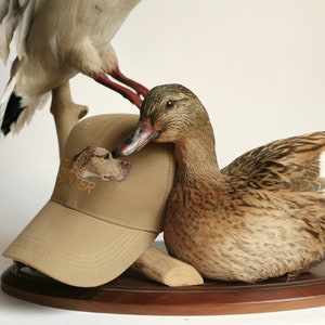 Hunting Hat English Pointer, English Pointer Gift, Camo Hat, Hunting ...