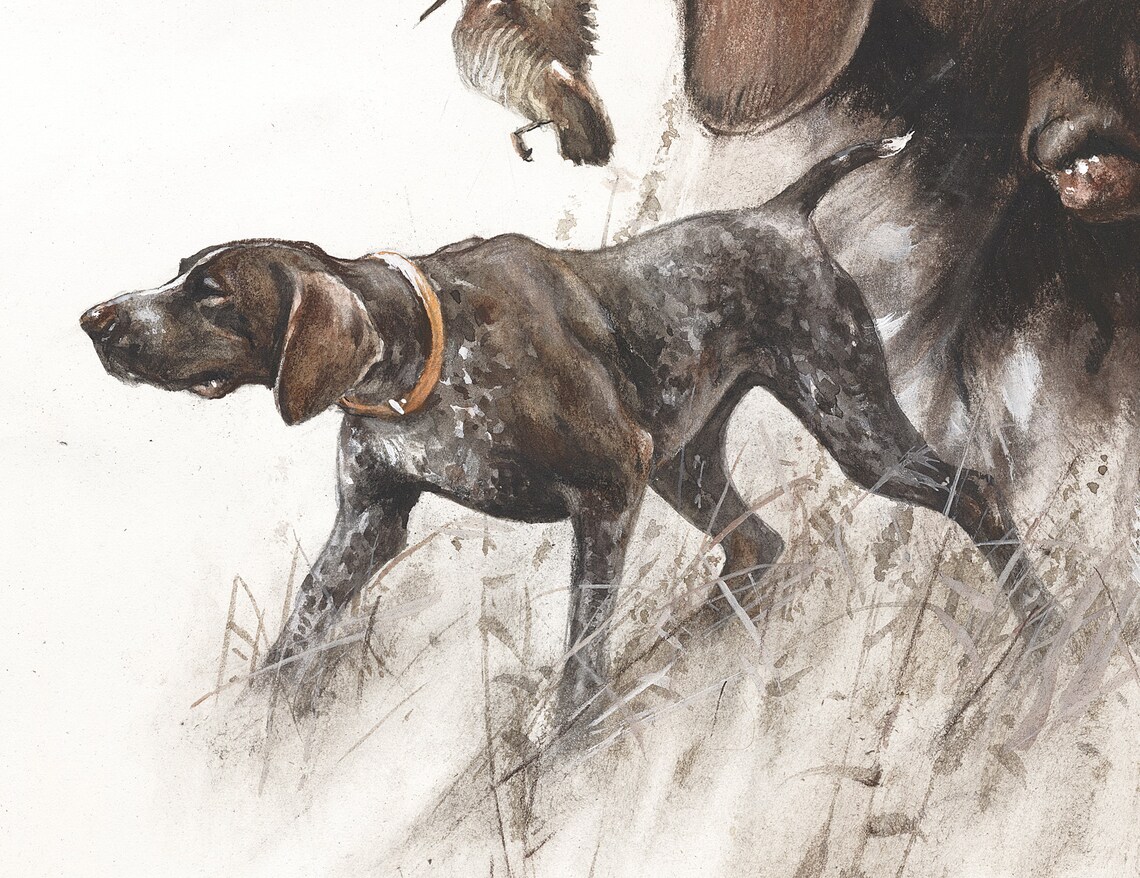 German Shorthair Pointer Portrait Print Pointer Art German - Etsy