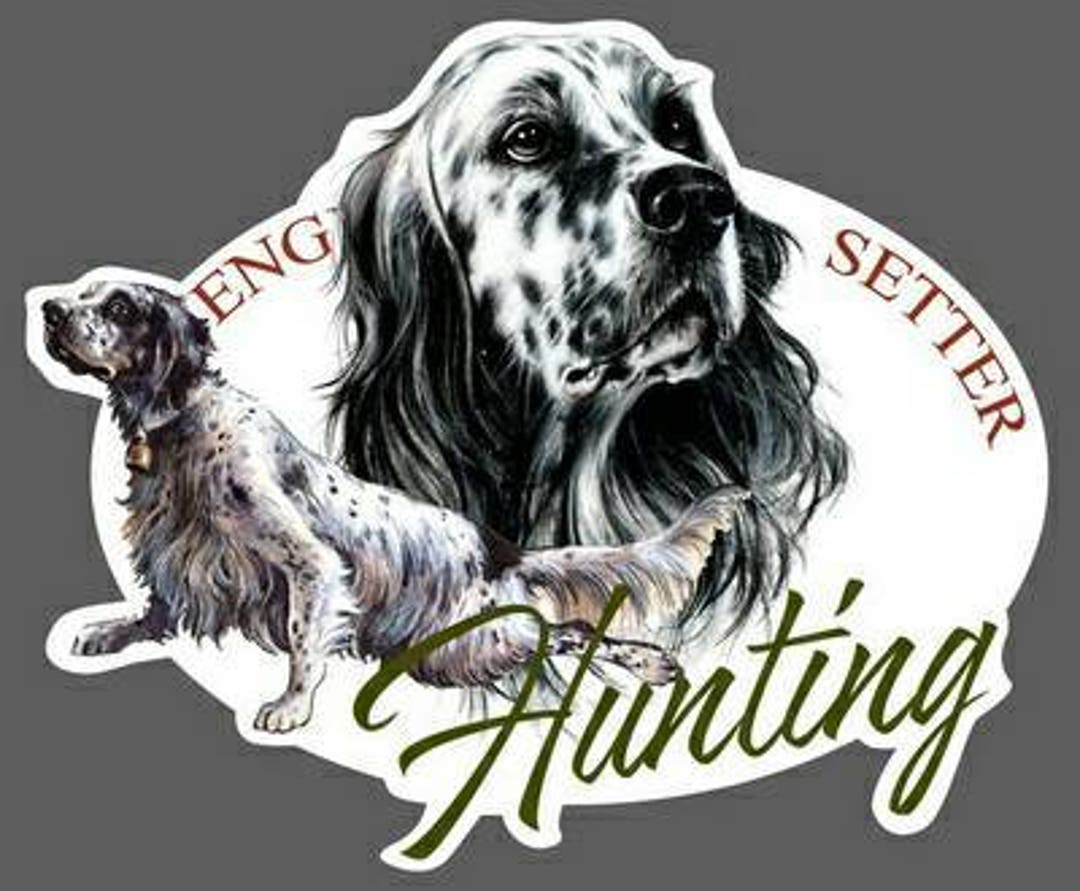 English Setter Decal Sticker for Car Window Laptop Hunting - Etsy