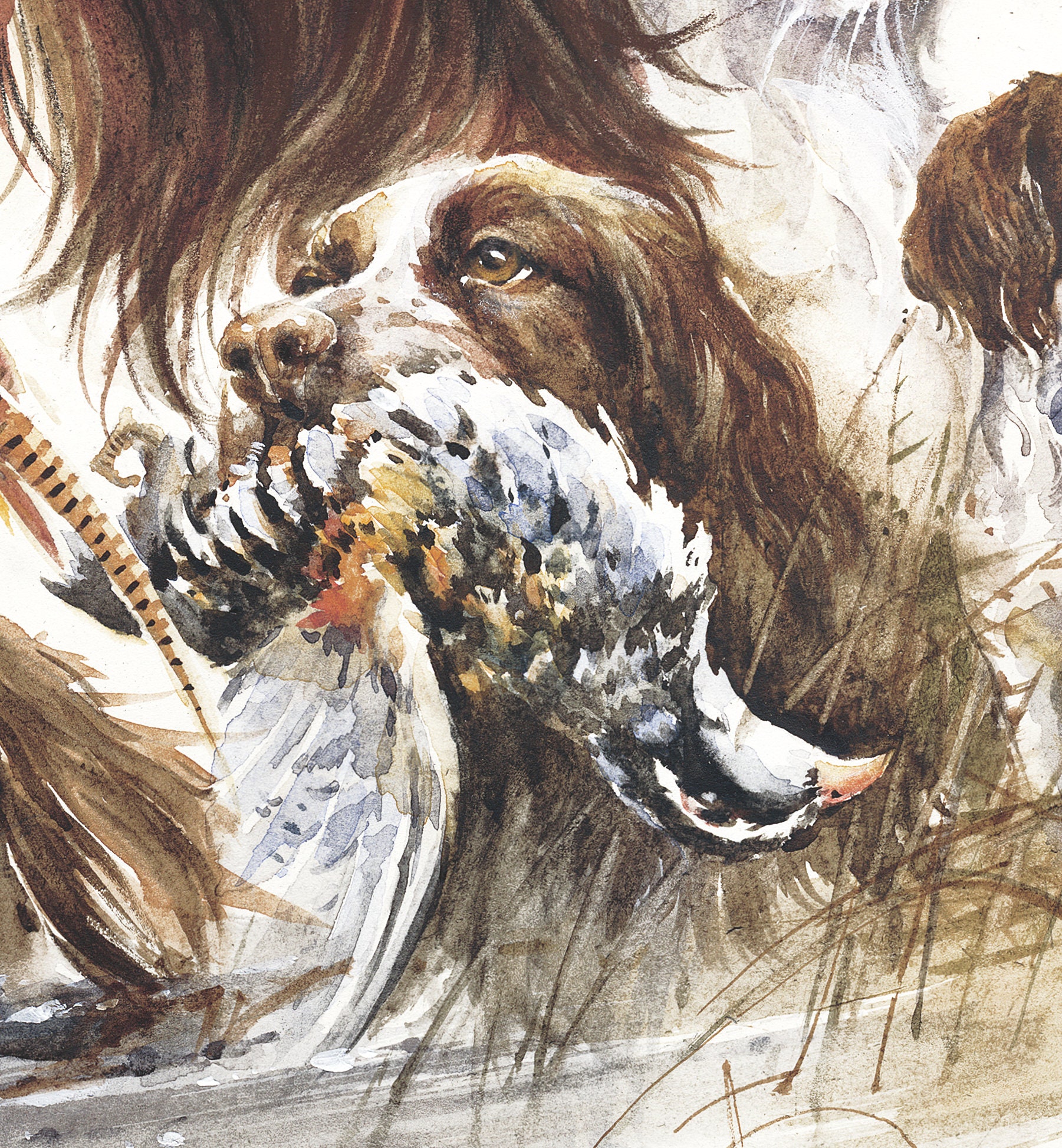 Hunting With English Springer Spaniel Signed Print | Etsy