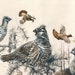 Watercolor Print grouse, Ruffled Grouse, Grouse Hunting, Red Grouse ...