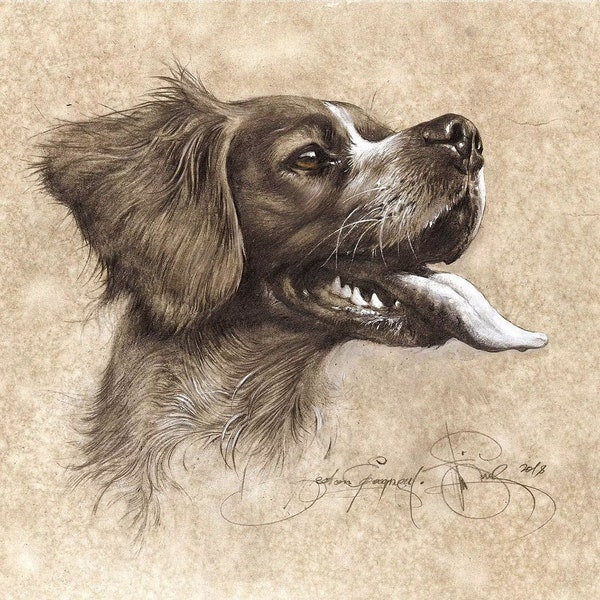 Brittany Spaniel Art - Etsy