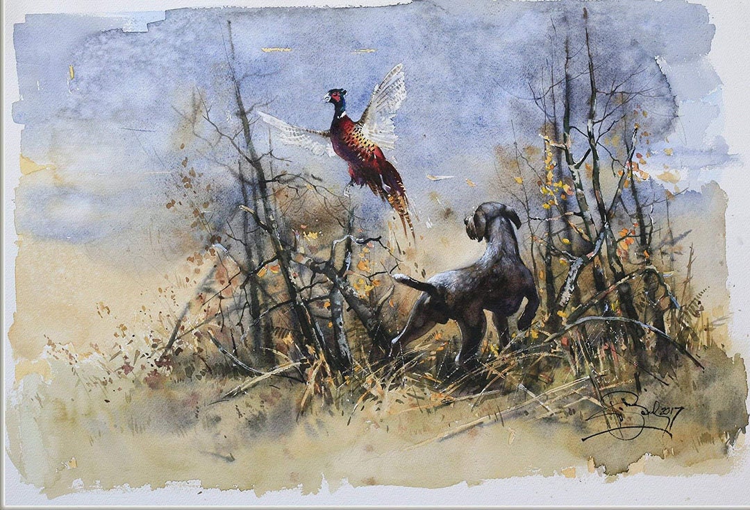 German Wirehaired Pointer Print, Drahthaar Print, Pointer Art, German ...