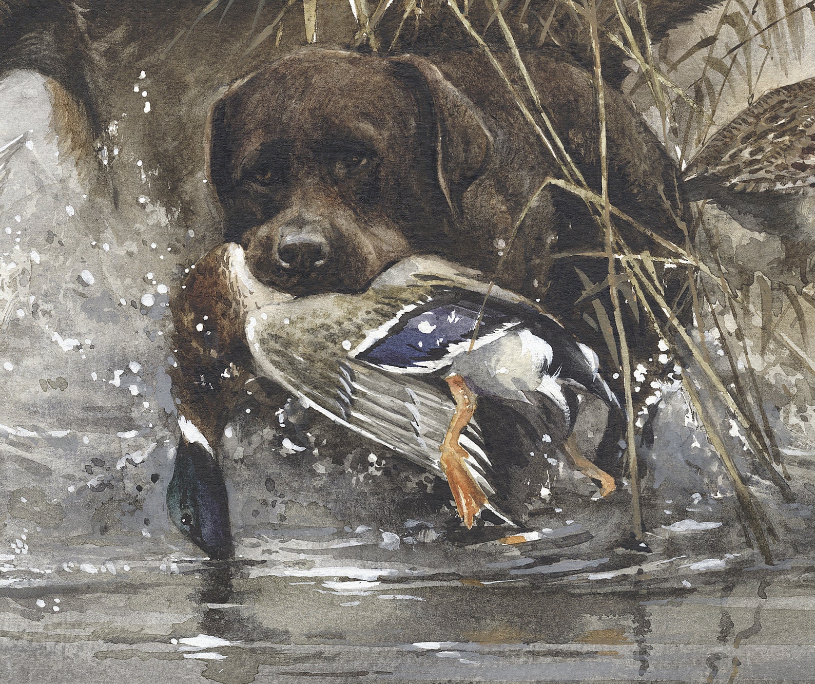 Bird Hunt Chocolate Labrador Print 19.6-26.350х70сm | Etsy