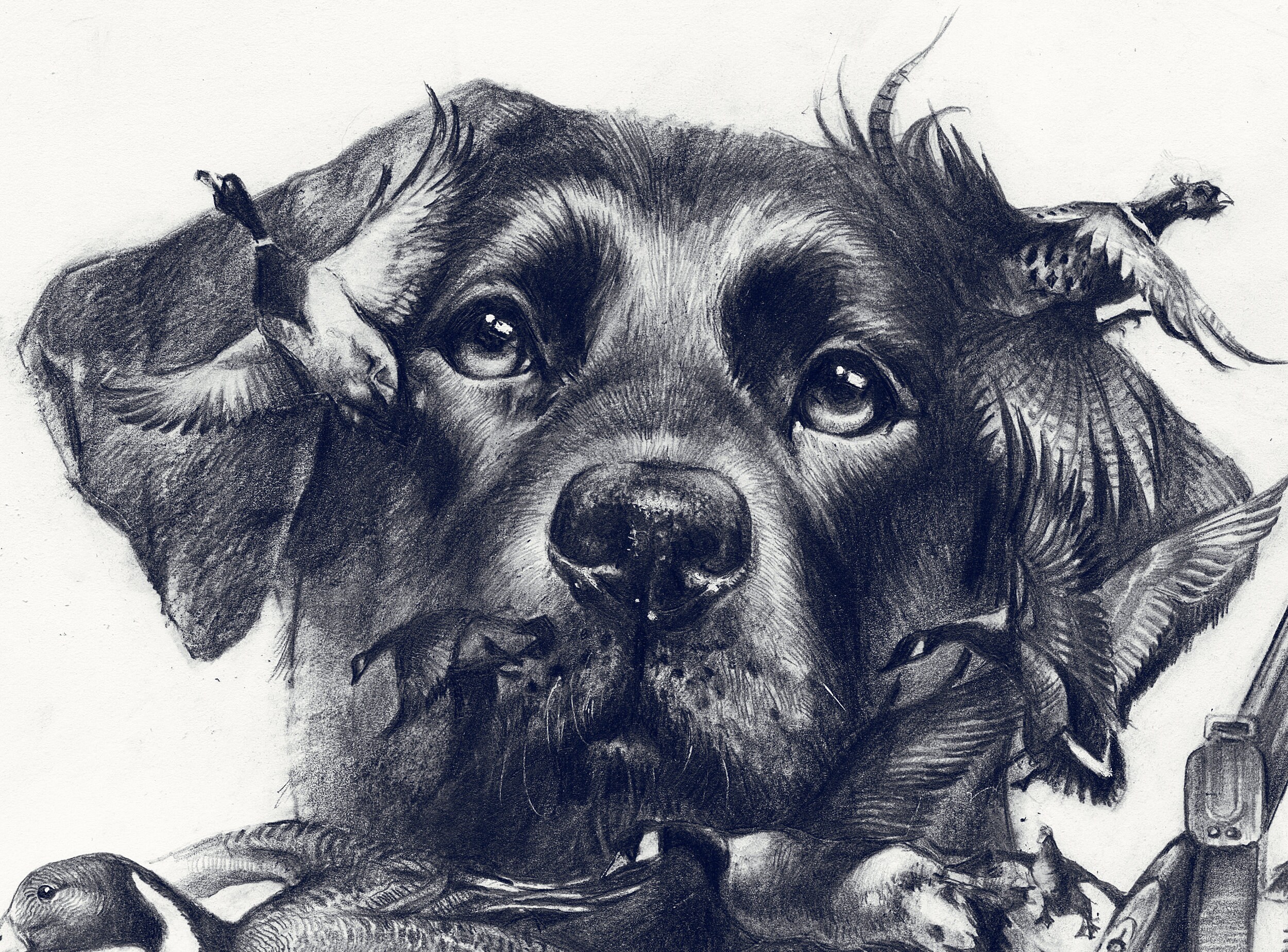 Labrador. Oh My Dreams ... Graphic Drawing Labrador | Etsy