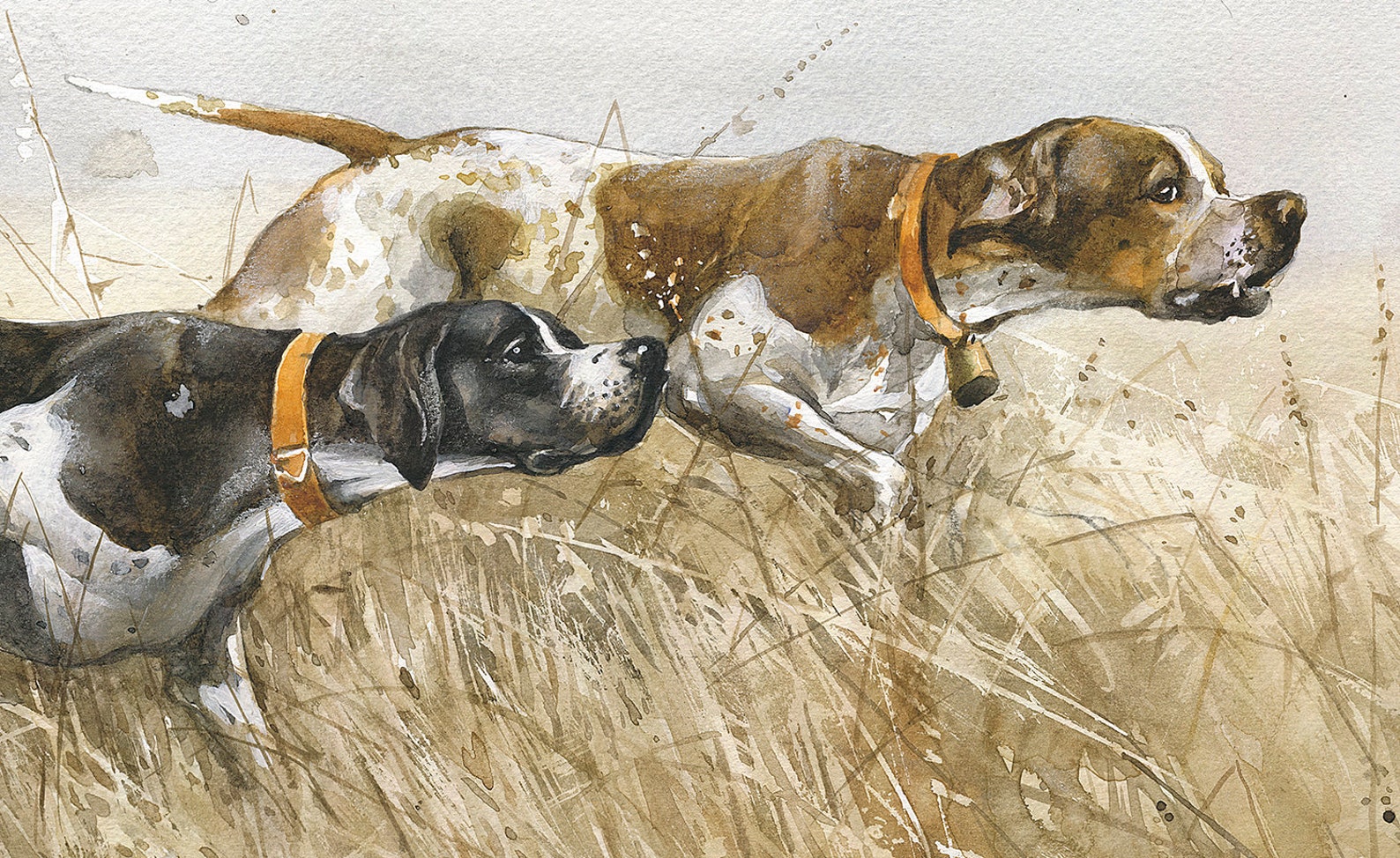 Pointers. in Field. Signed Print by Valery Siurha, English Pointer Dog ...