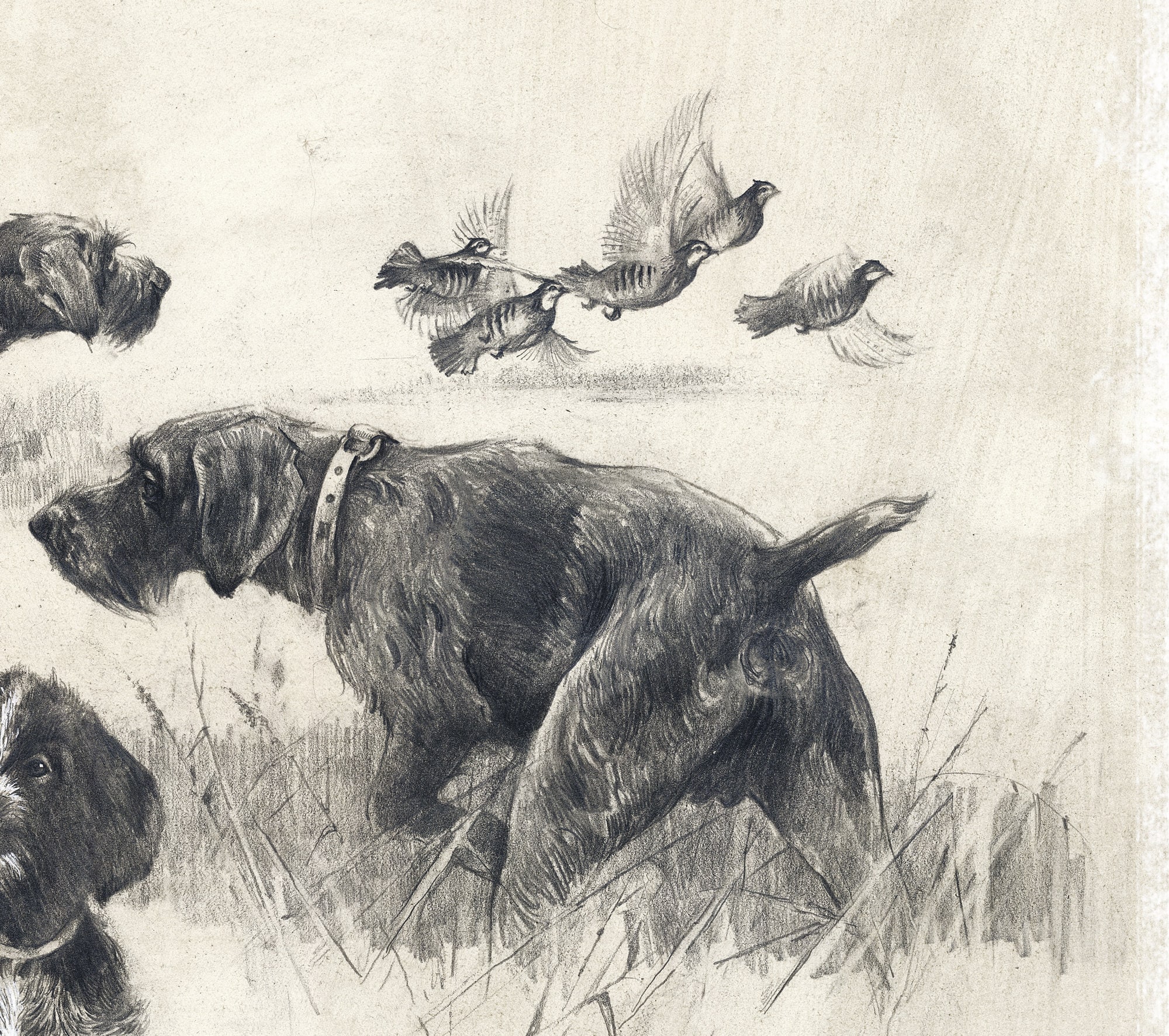 Graphic Drawing Hunting Soon... Drahthaar Art - Etsy