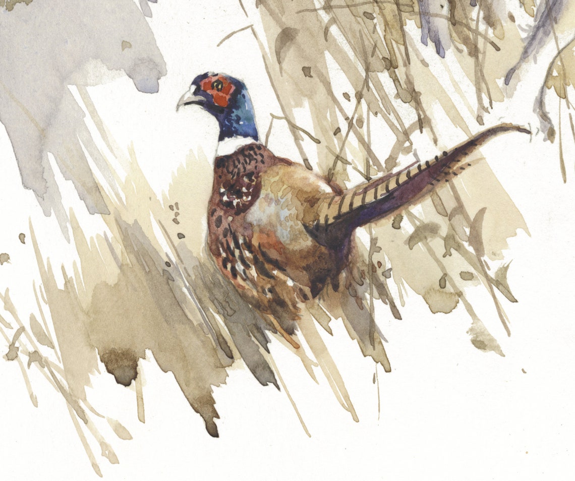 Brittany. Bird Hunting Watercolor Print by Valery | Etsy