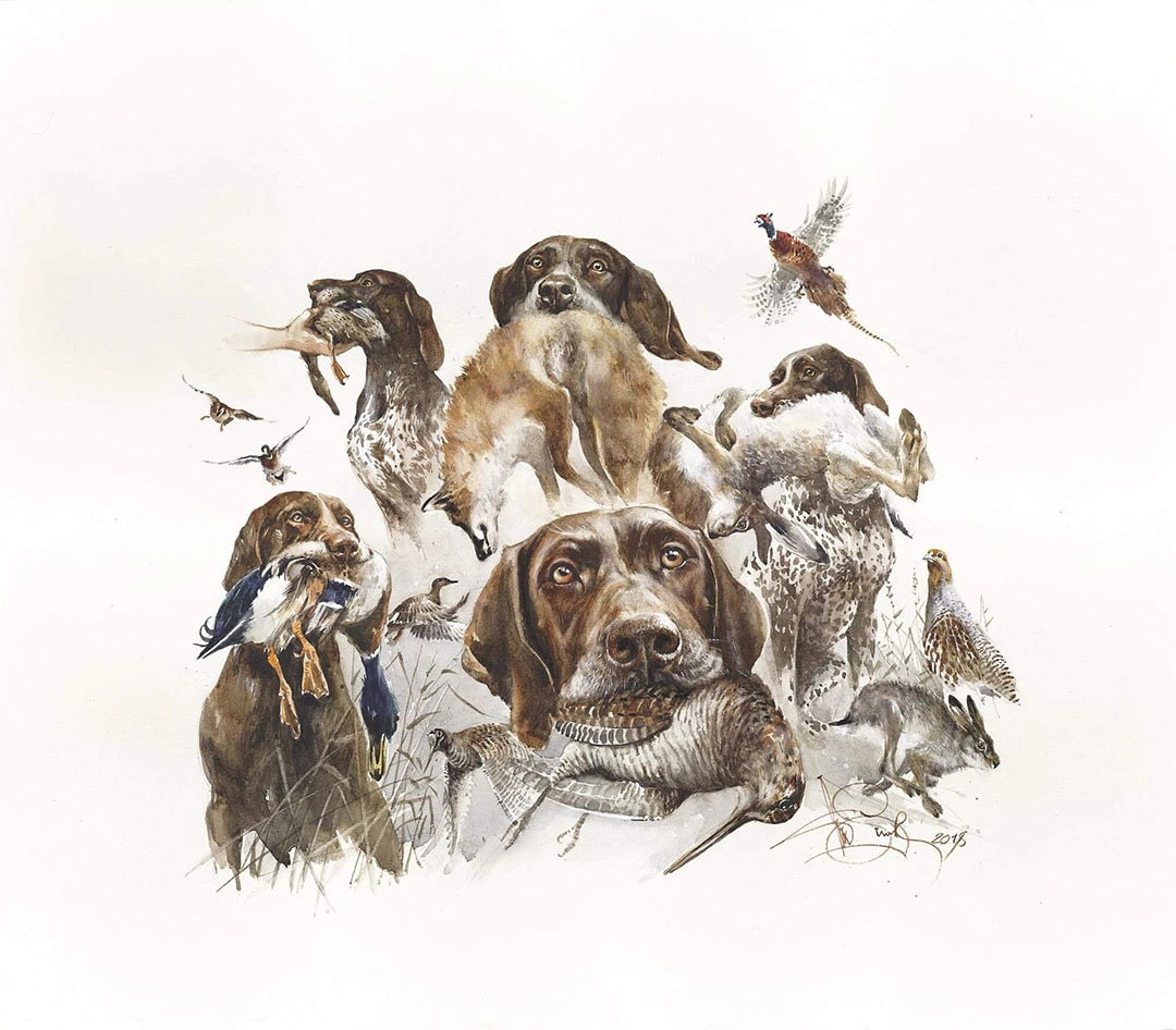 German Shorthaired Pointer Print, Pointer Art, German Pointer, Hunting ...