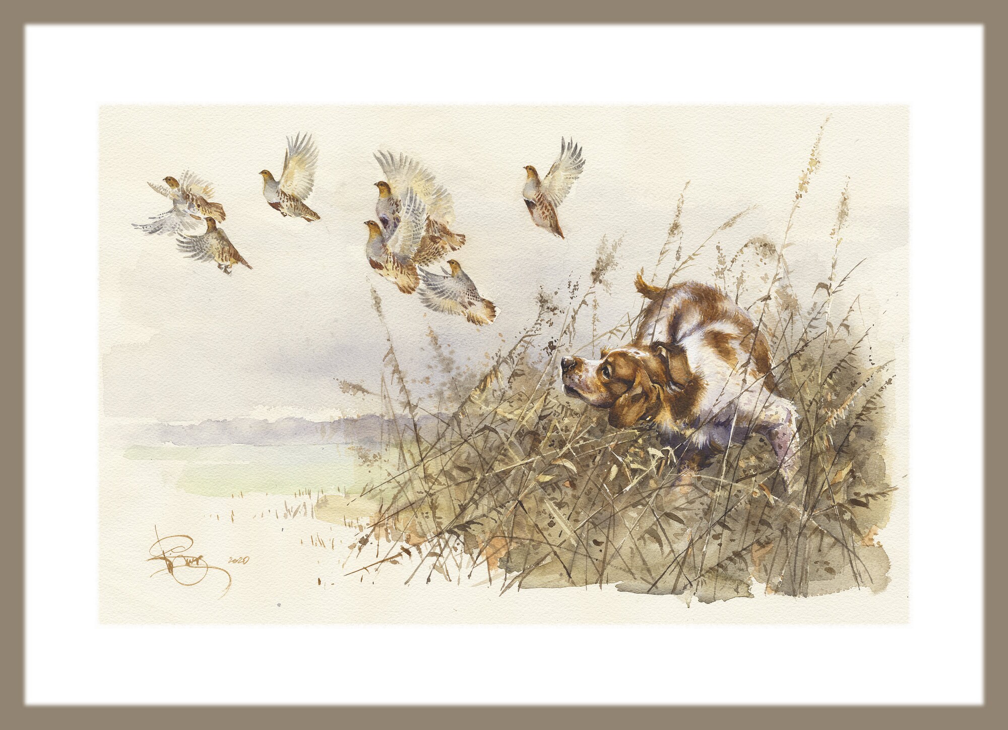 Brittany Partridge Hunting