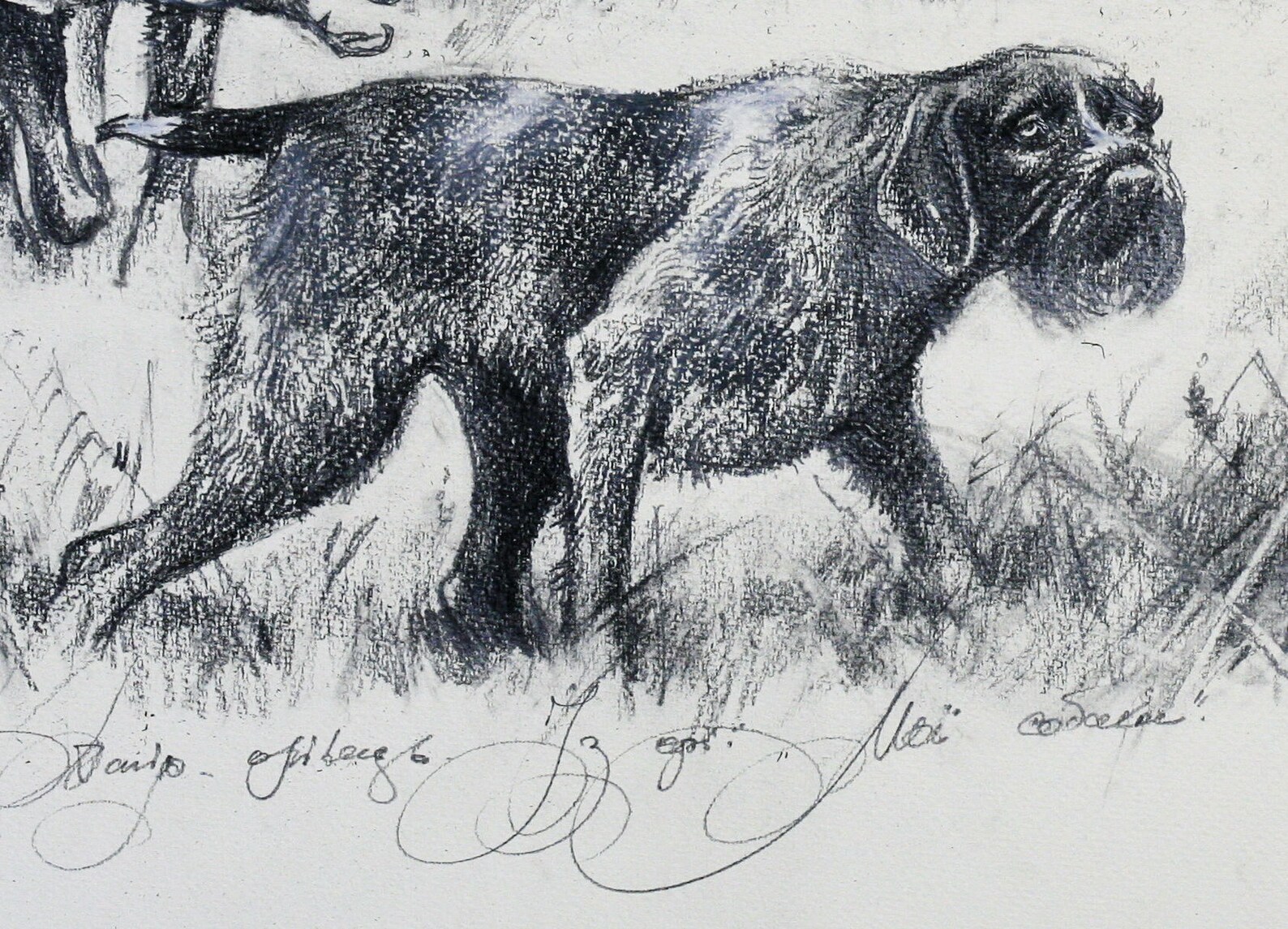 Print hunting With German Wirehaired Pointer by - Etsy