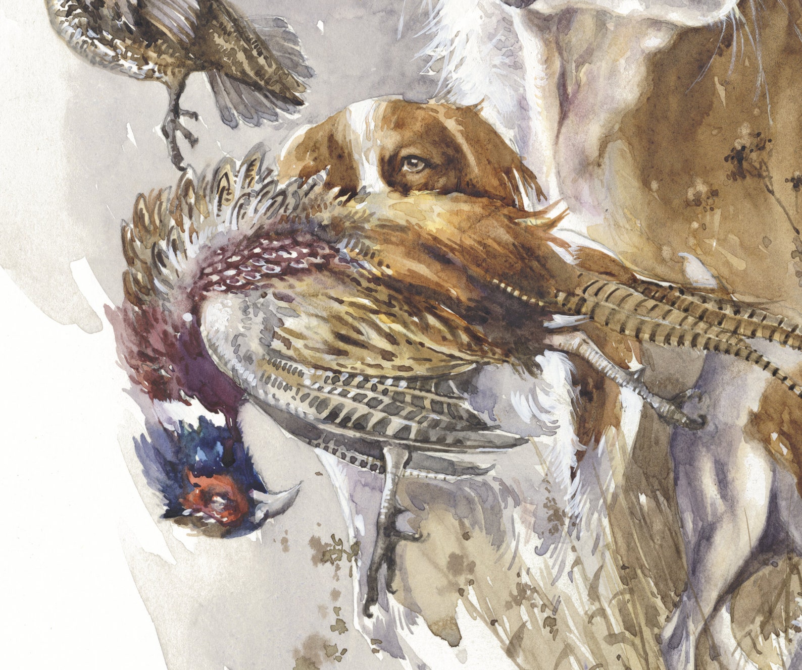 Brittany. Bird Hunting Watercolor Print by Valery - Etsy