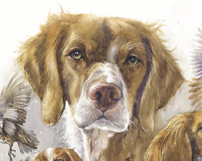 Brittany. Bird Hunting Watercolor Print by Valery | Etsy