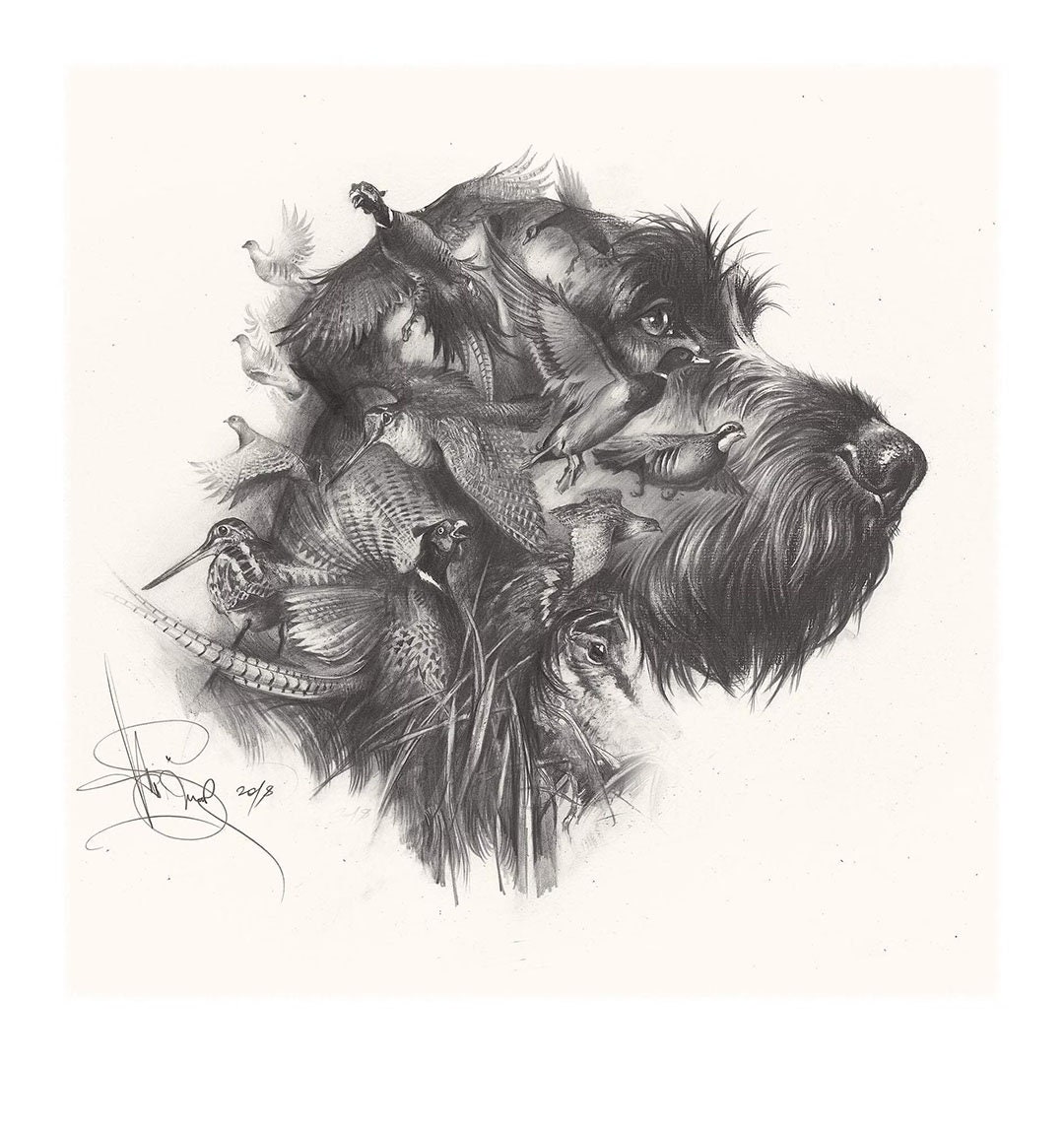 German Wirehaired Pointer Watercolor Print, Hunting Dog Art, Cabin ...