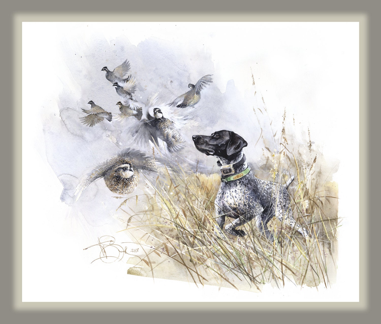 German Shorthaired Pointer Print quail Hunting. | Etsy