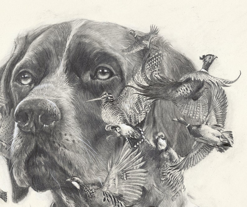 German Shorthair Pointer Portrait Print Pointer Art German - Etsy