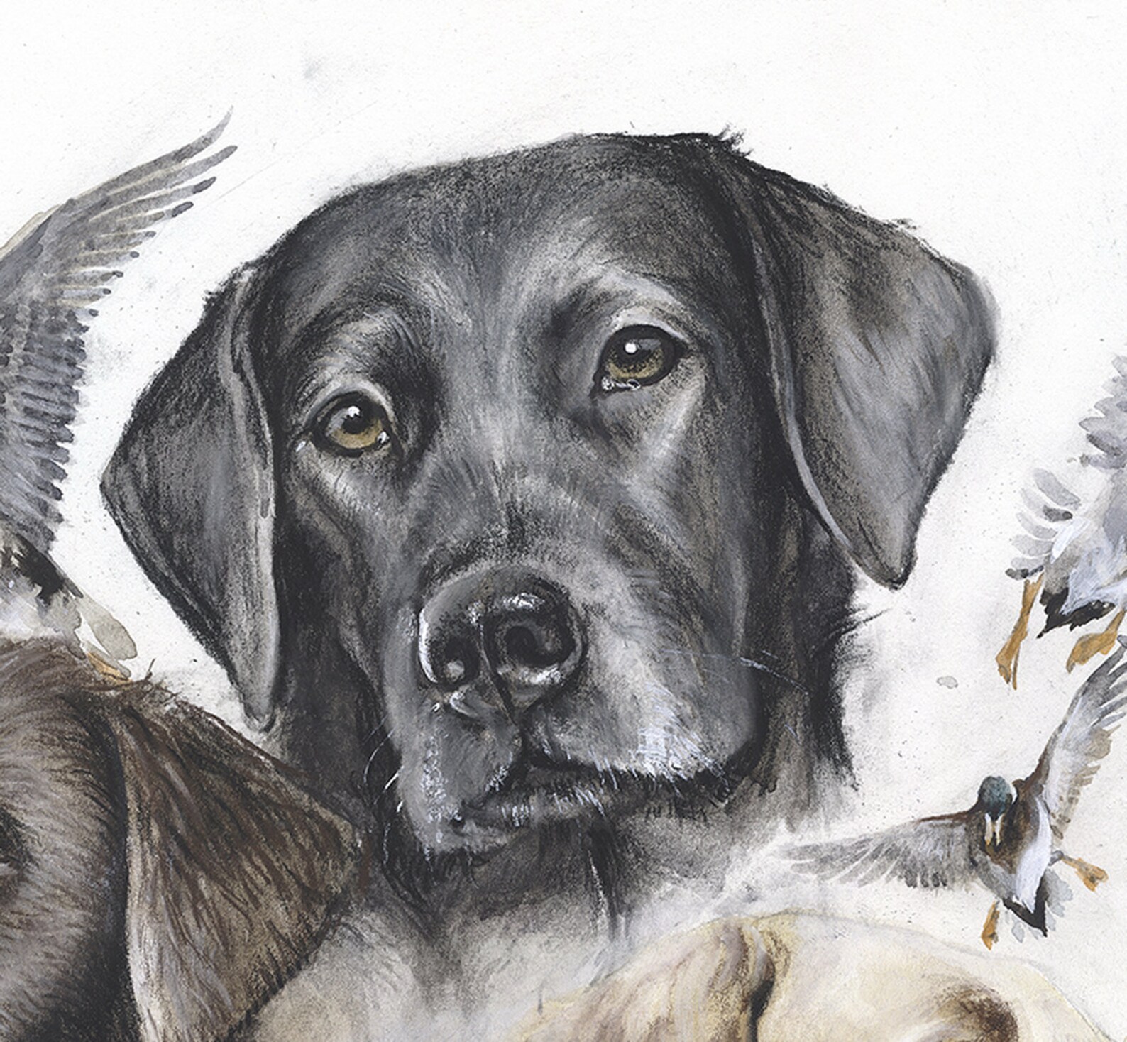 Labrador Print Labrador Art Labrador Watercolor Labrador - Etsy