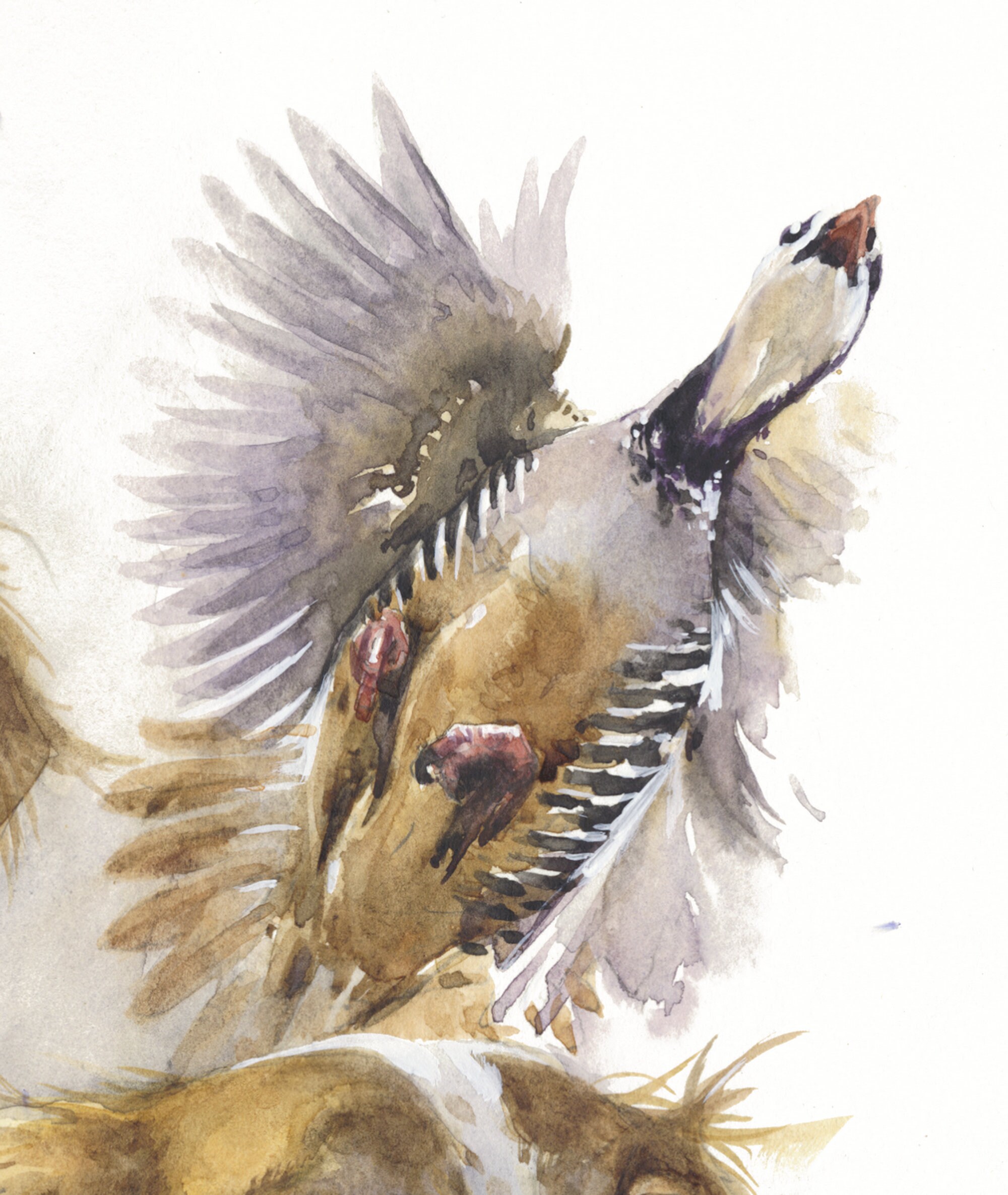 Brittany. Bird Hunting Watercolor Print by Valery | Etsy