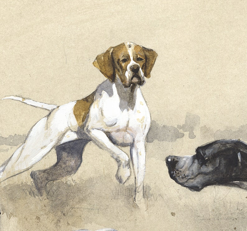 Signed English Pointer Art Print: Watercolor Dog Portrait - Etsy