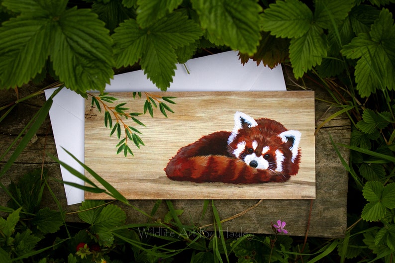 Red Panda Greetings Card Animal Art Card - Etsy UK