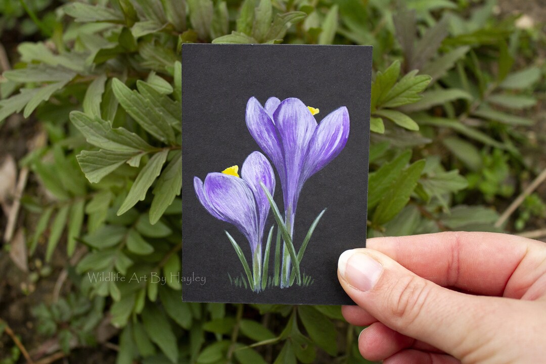Spring Flower Miniature Painting, Purple Crocus, Nature ACEO - Etsy