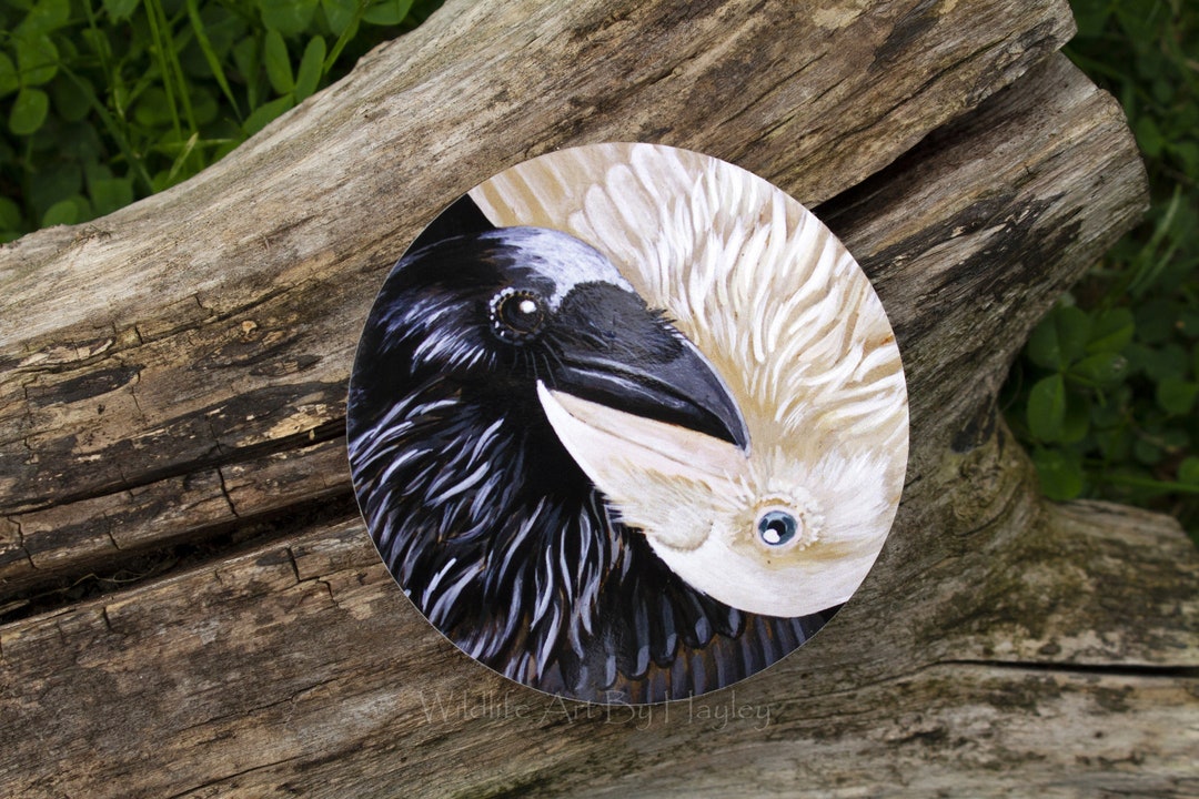 Yin-yang Ravens, Vinyl Sticker, White Raven Art - Etsy
