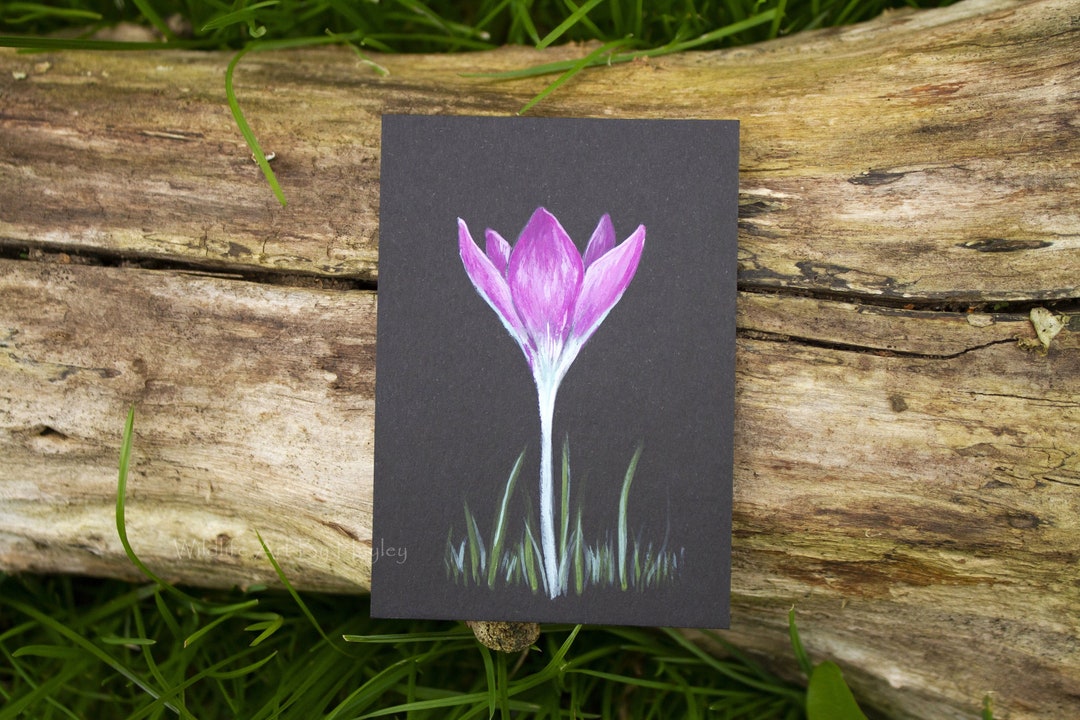 Crocus Painting, Miniature Spring Flower Art - Etsy